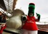 Why Arsenal's mascot is a dinosaur: The fascinating tale behind ...