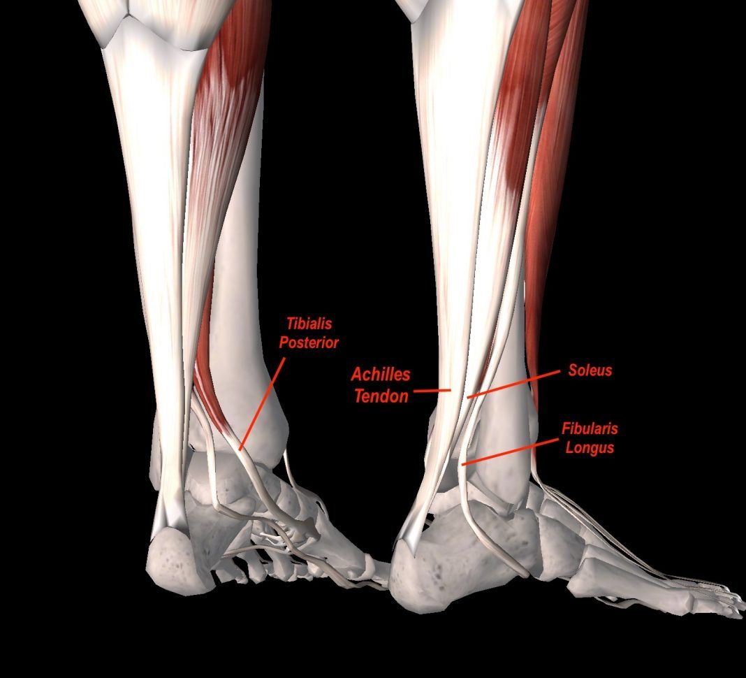 The Physio: Santi Cazorla's Achilles heel