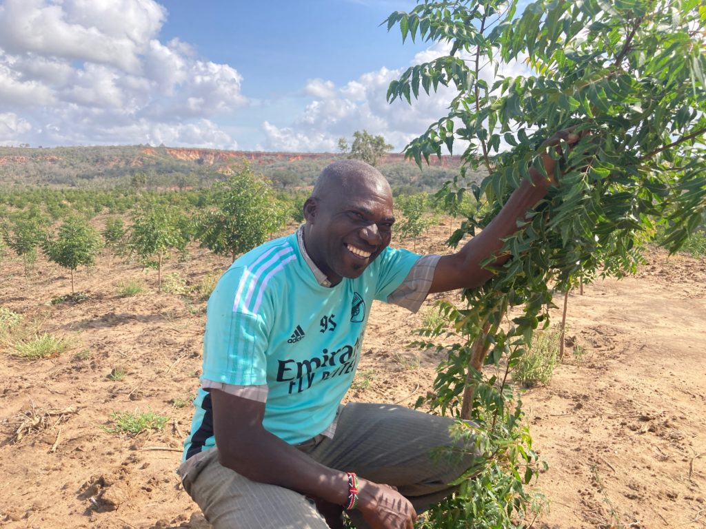 Arsenal to create forest of 20,000+ trees in Kenya to offset programme ...